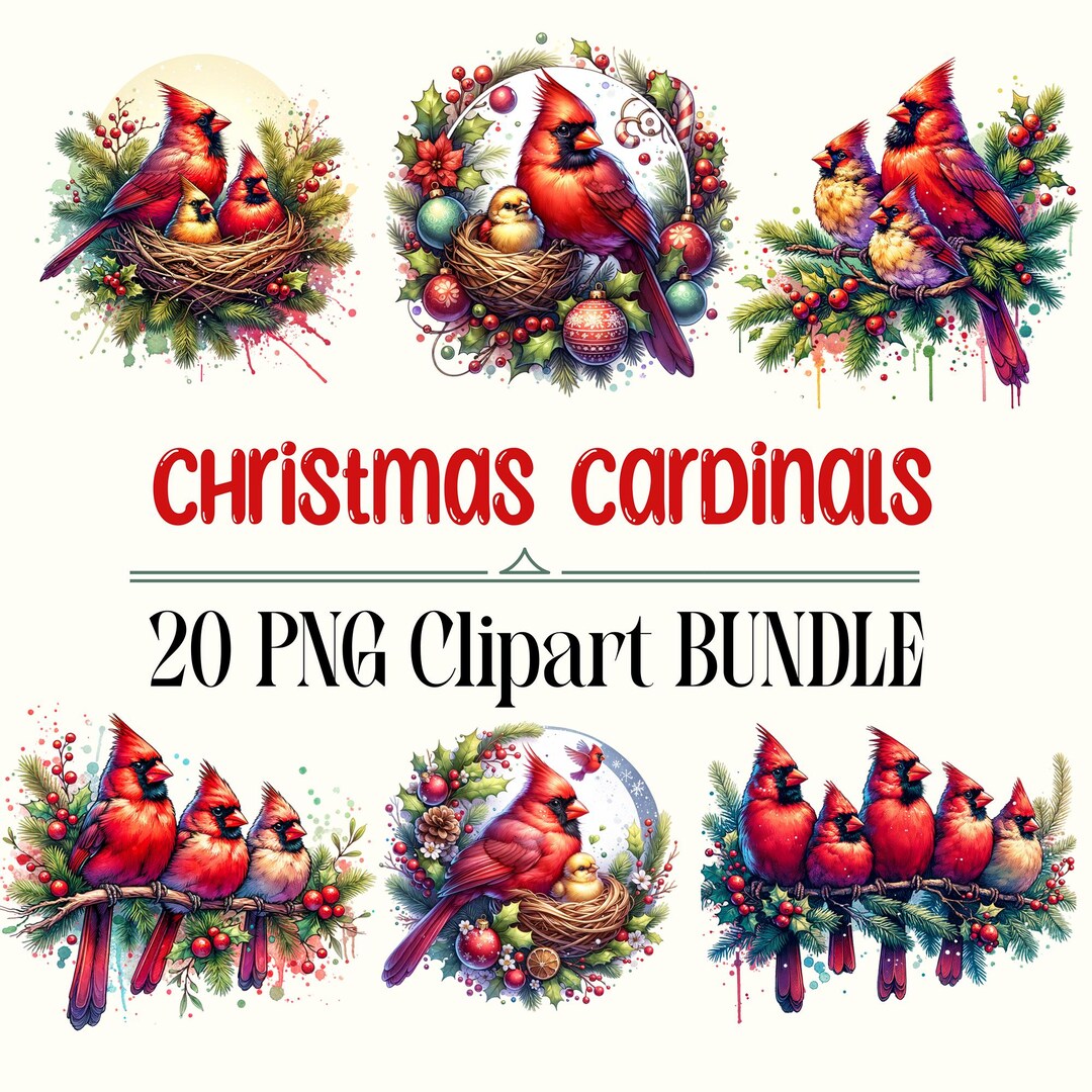 20 Christmas PNG Cardinal Bundle Digital Clipart Red Cardinals, Robins ...