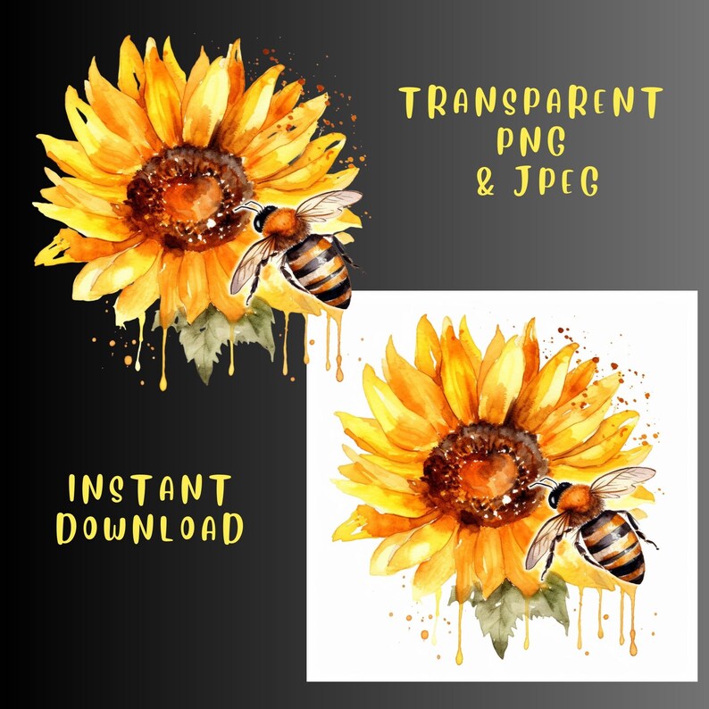 Watercolor Bee Sunflower Clipart PNG 16 Honey Bee Designs - Etsy