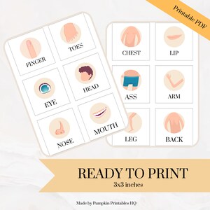 Flashcards Body Parts Montessori Flashcard Pre-school Cards Learning ...