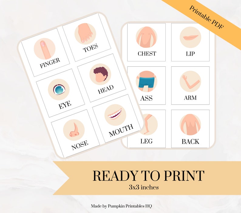 Flashcards Body Parts Montessori Flashcard Pre-school Cards Learning ...