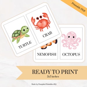 Flashcards Sea Animals Cards for Teaching Water Animals Montessori ...