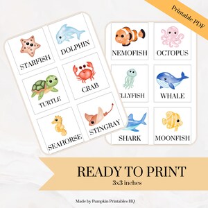 Flashcards Sea Animals Cards for Teaching Water Animals Montessori ...