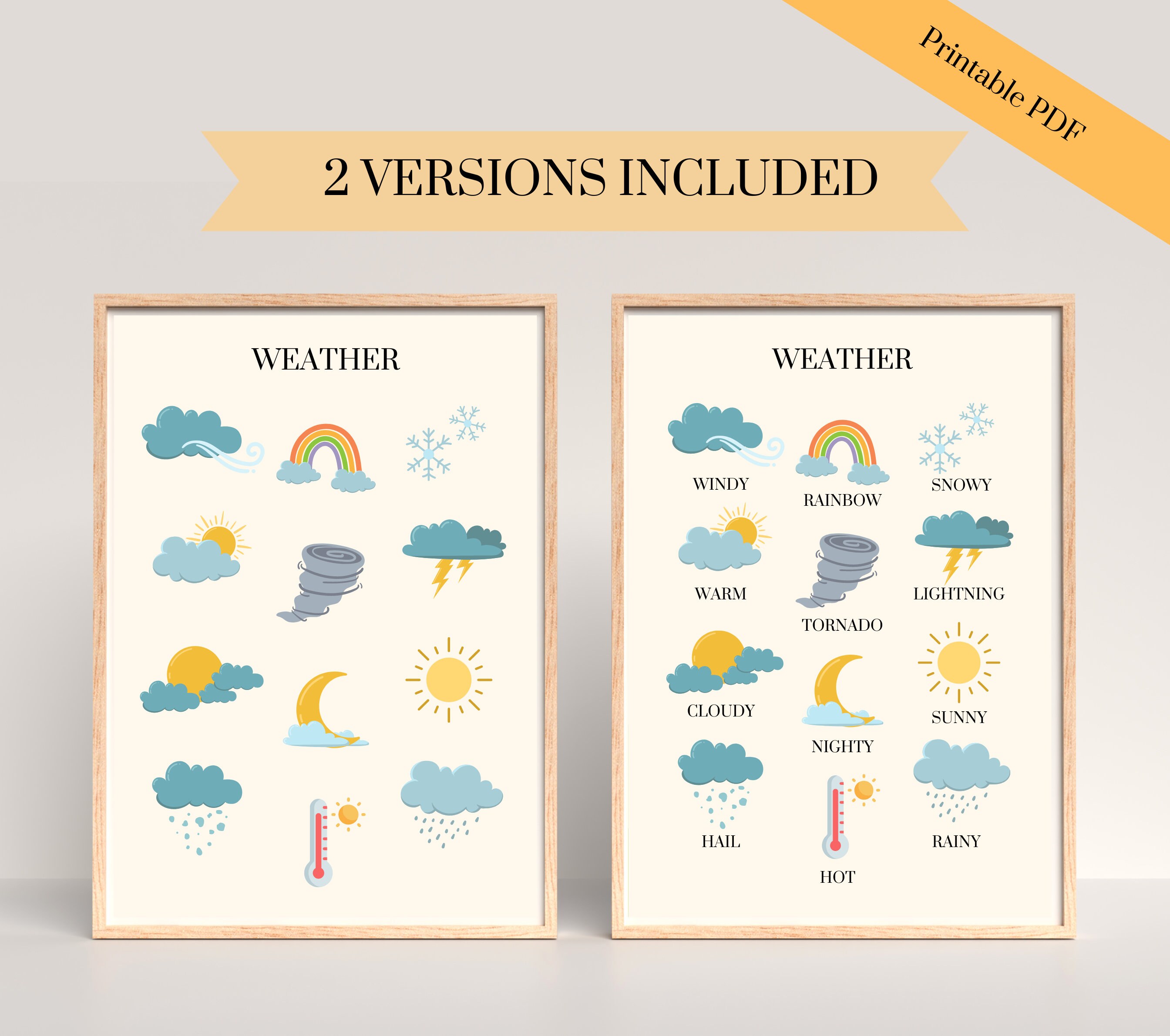 Poster Weather Flashcards Climate Educational Poster Montessori Weather ...