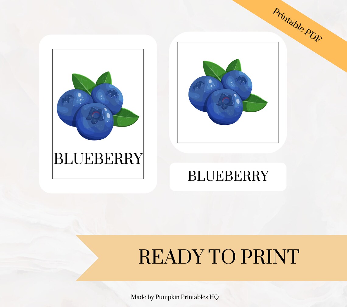 Flashcards Fruit Cards Montessori Flashcards for Teaching Fruits to ...