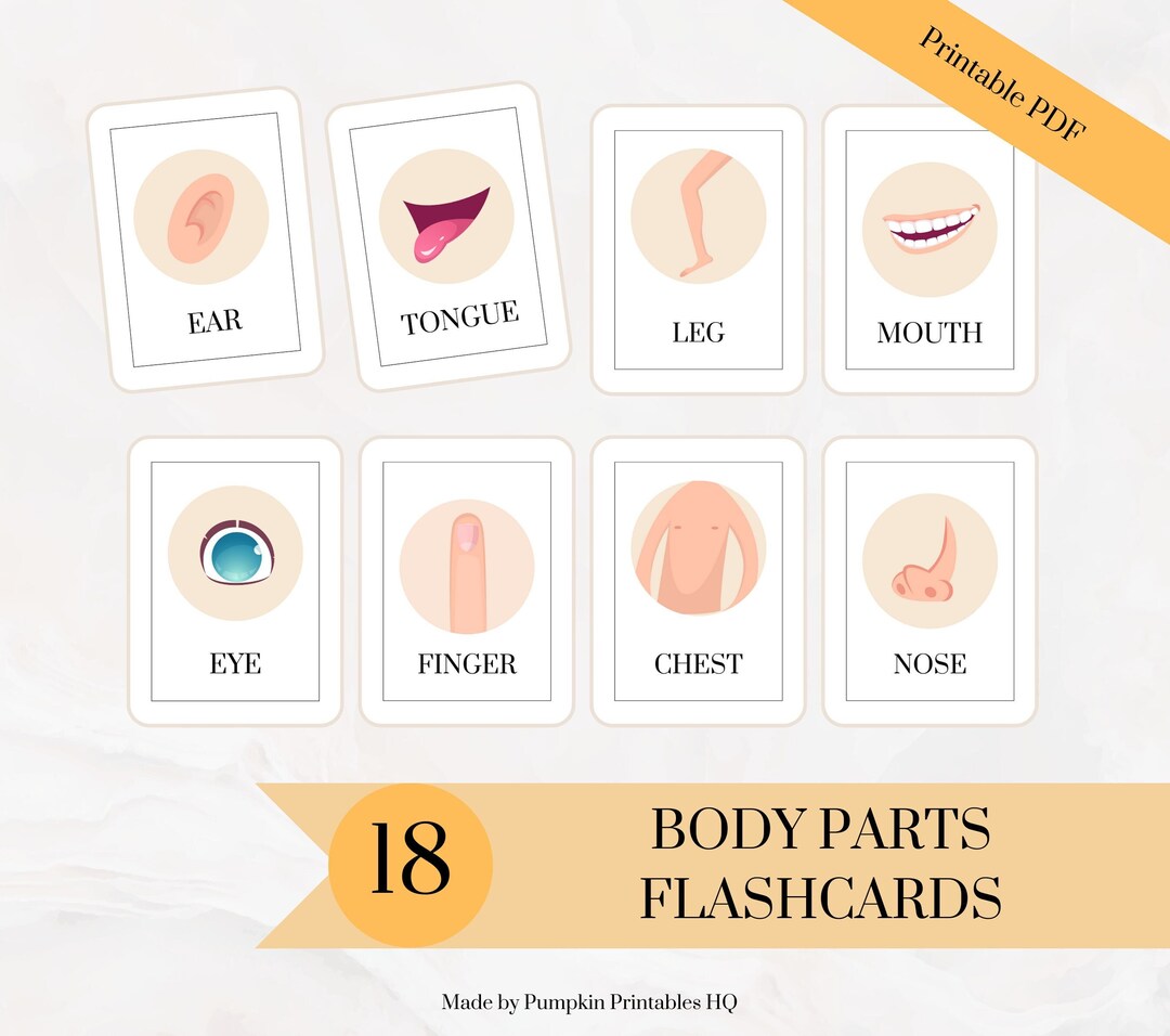 Flashcards Body Parts Montessori Flashcard Pre-school Cards Learning ...