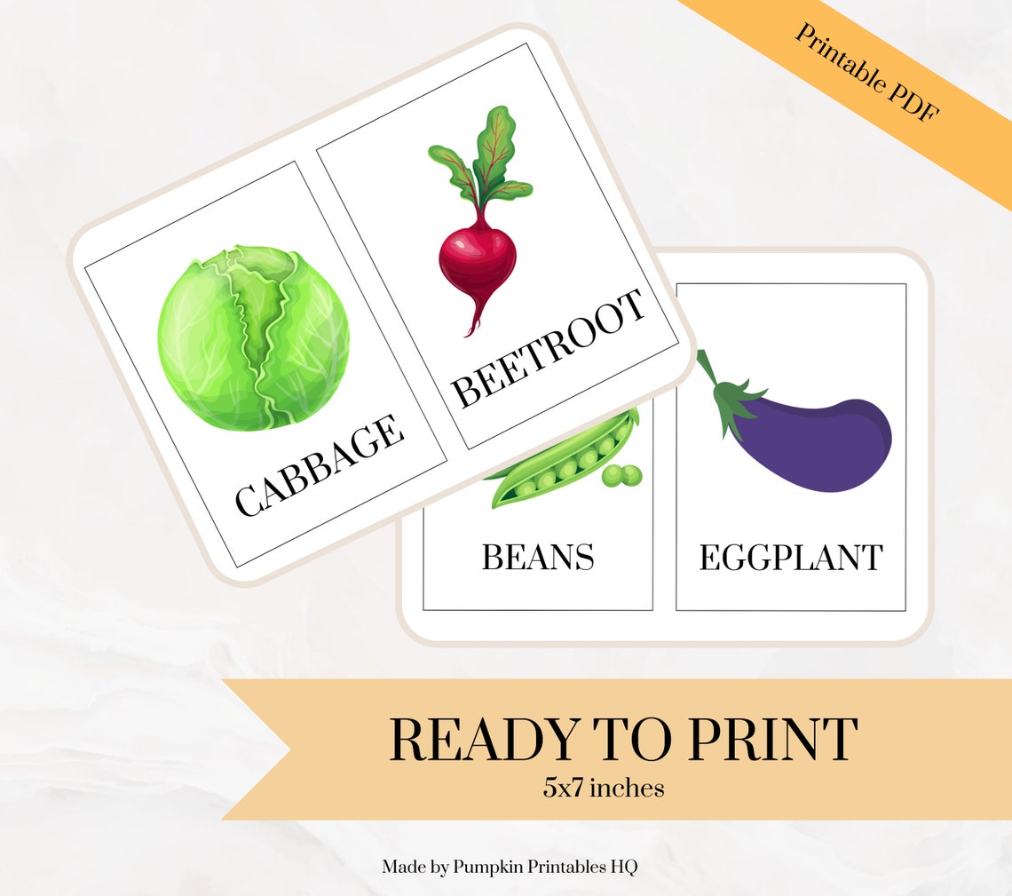 Flashcards Vegetable Cards Teaching Children Learning Vegetables ...
