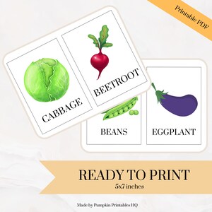 Flashcards Vegetable Cards Teaching Children Learning Vegetables ...