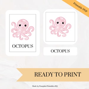 Flashcards Sea Animals Cards for Teaching Water Animals Montessori ...