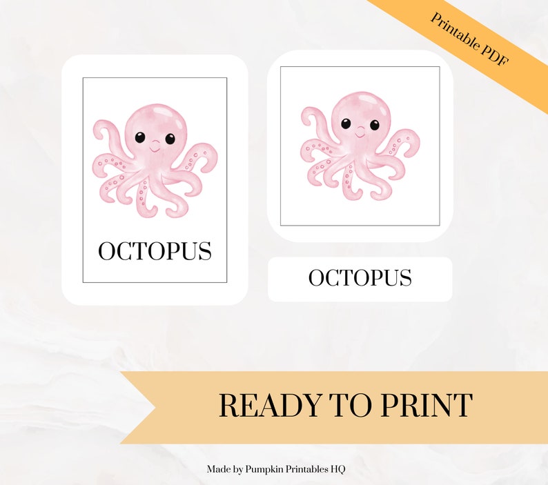 Flashcards Sea Animals Cards for Teaching Water Animals Montessori ...