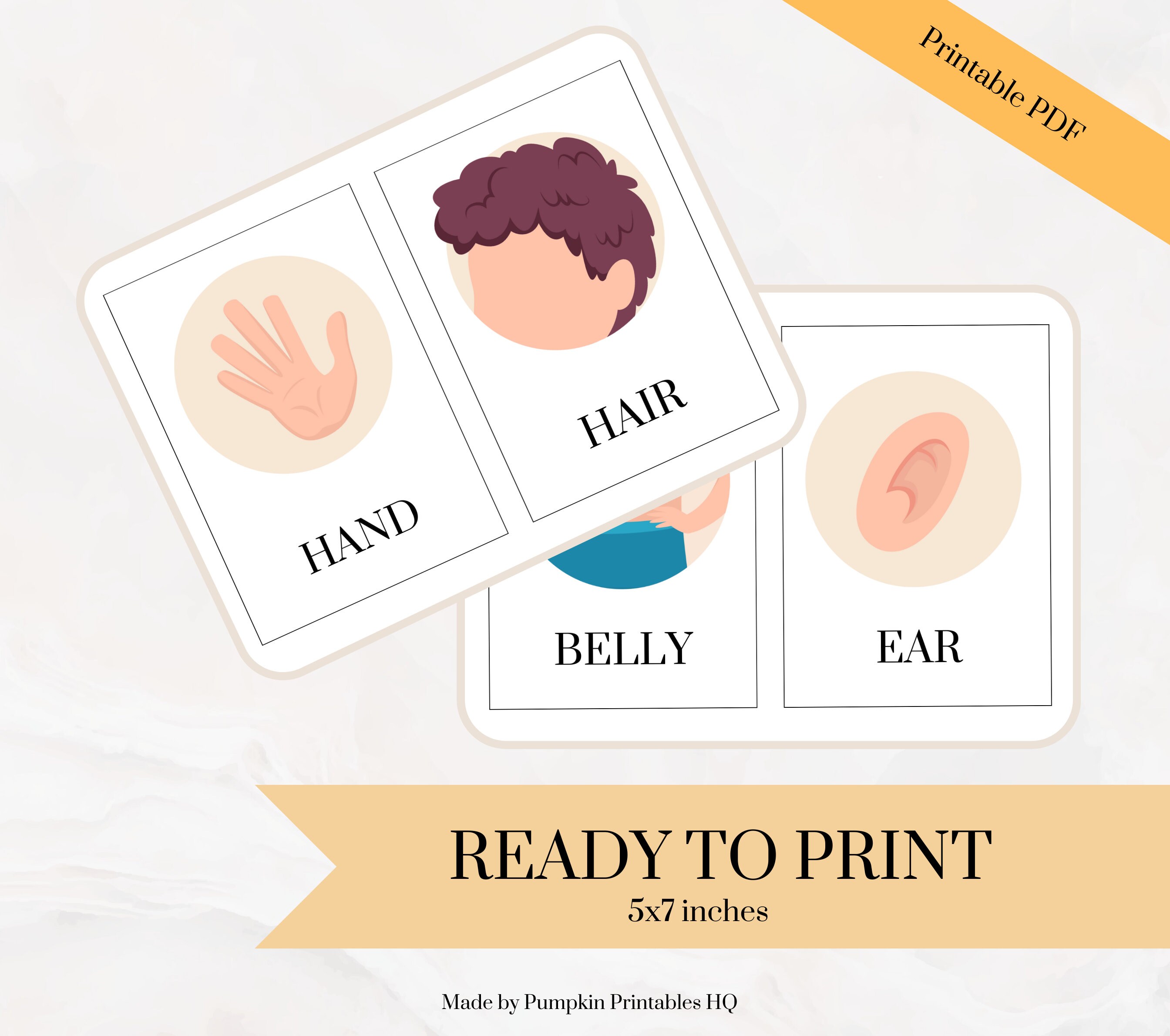 Flashcards Body Parts Montessori Flashcard Pre-school Cards Learning ...