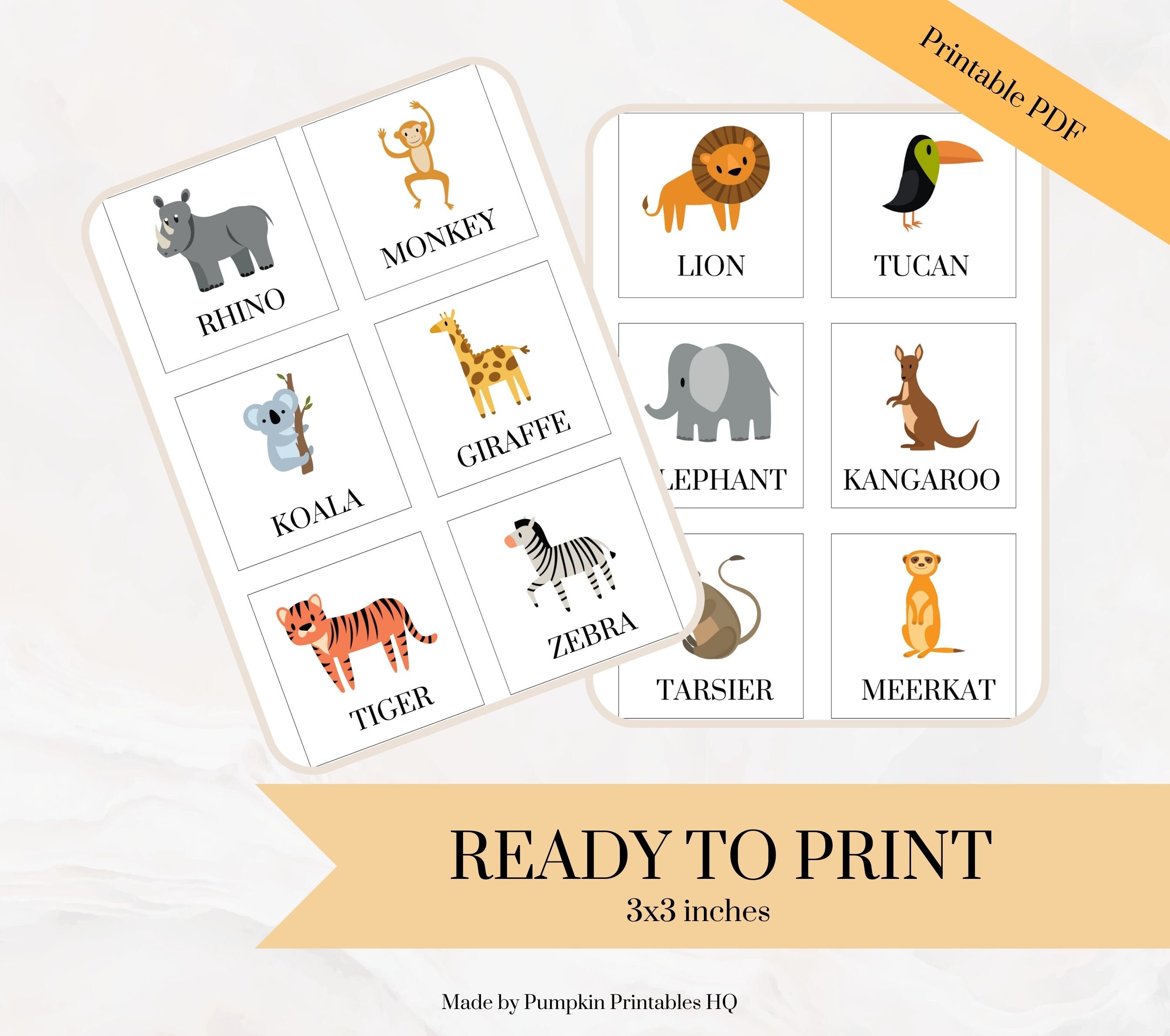 Flashcards Wild Animal Cards African Animal Flashcards for Learning ...