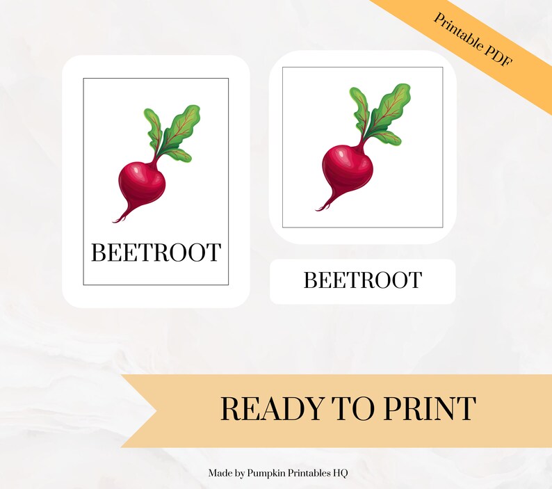 Flashcards Vegetable Cards Teaching Children Learning Vegetables ...