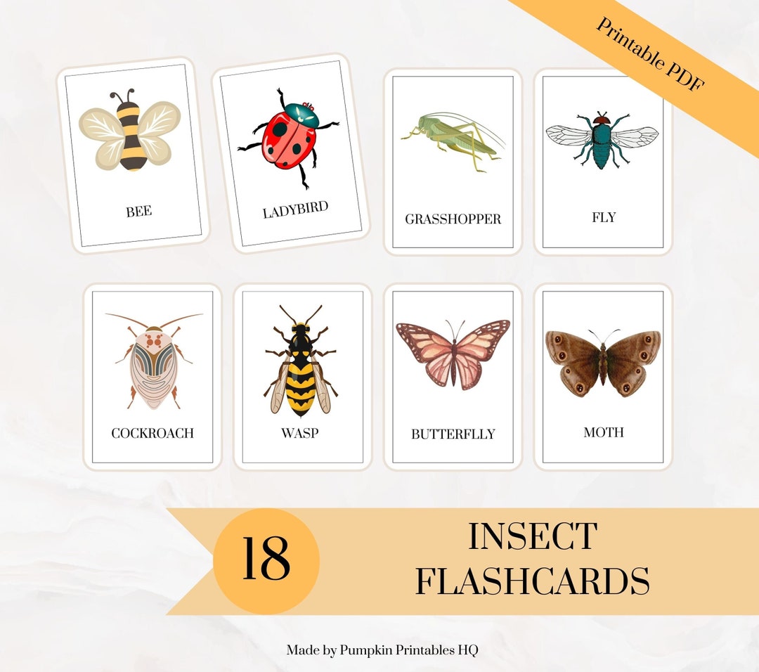 Flashcards Insects for Teaching Insects to Children Montessori ...