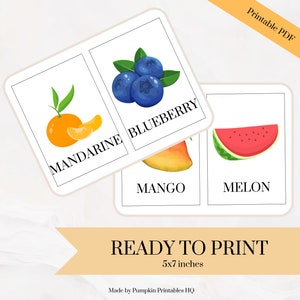 Flashcards Fruit Cards Montessori Flashcards for Teaching Fruits to ...