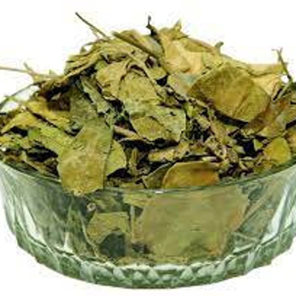 Gurmar Tea - Etsy Australia