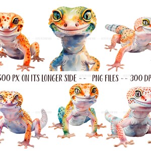 Watercolor Realistic Leopard Geckos Clipart - Cute Reptiles PNG ...