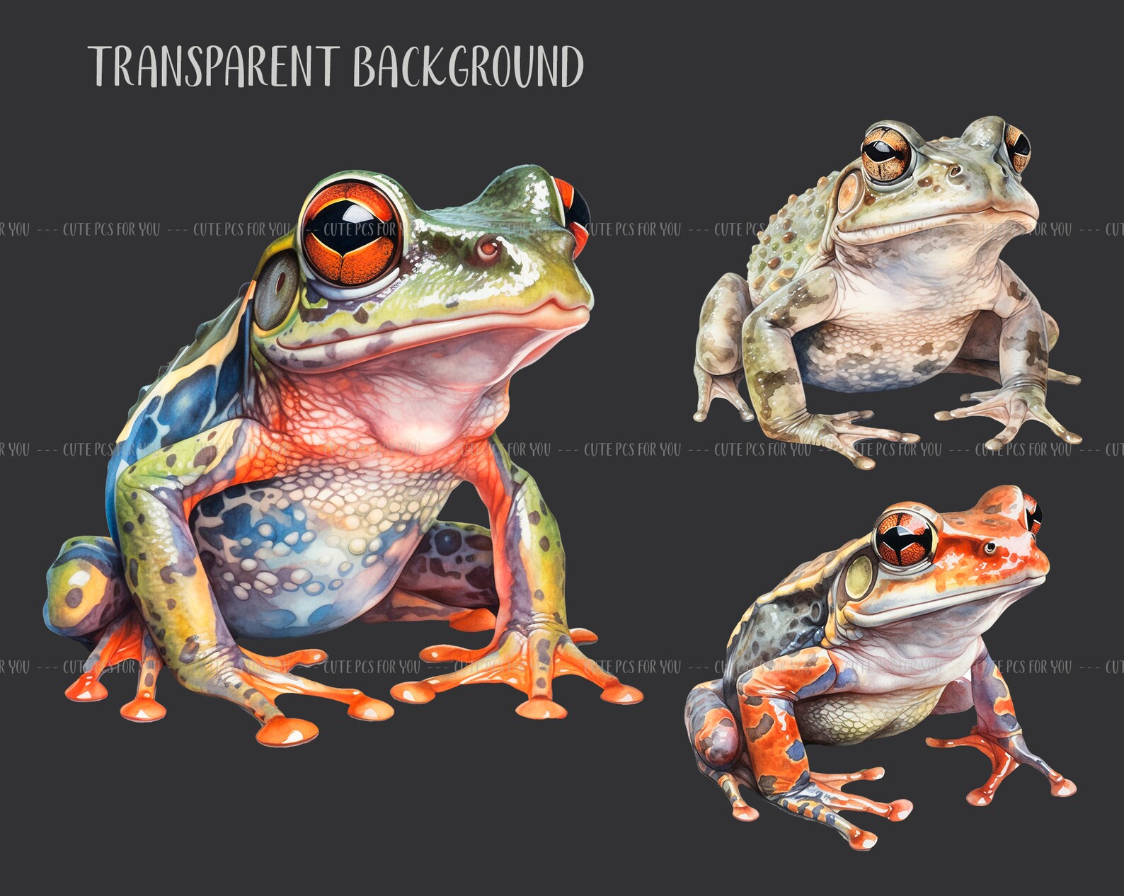 Watercolor Realistic Frogs Clipart Cute Amphibians PNG - Etsy