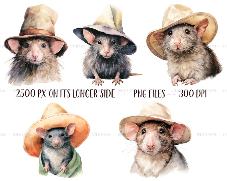 Watercolor Funny Rats Clipart - Cute Mice in Funny Hat Digital ...