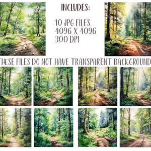 Watercolor Path in the Forest Clipart - Woodland Track Digital Paper ...