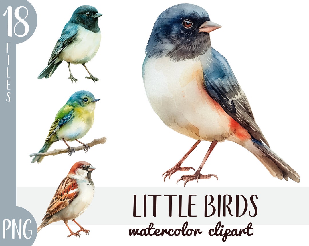 Watercolor Little Birds Clipart - Bird Portrait Illustration PNG ...