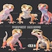 Watercolor Realistic Leopard Geckos Clipart - Cute Reptiles PNG ...