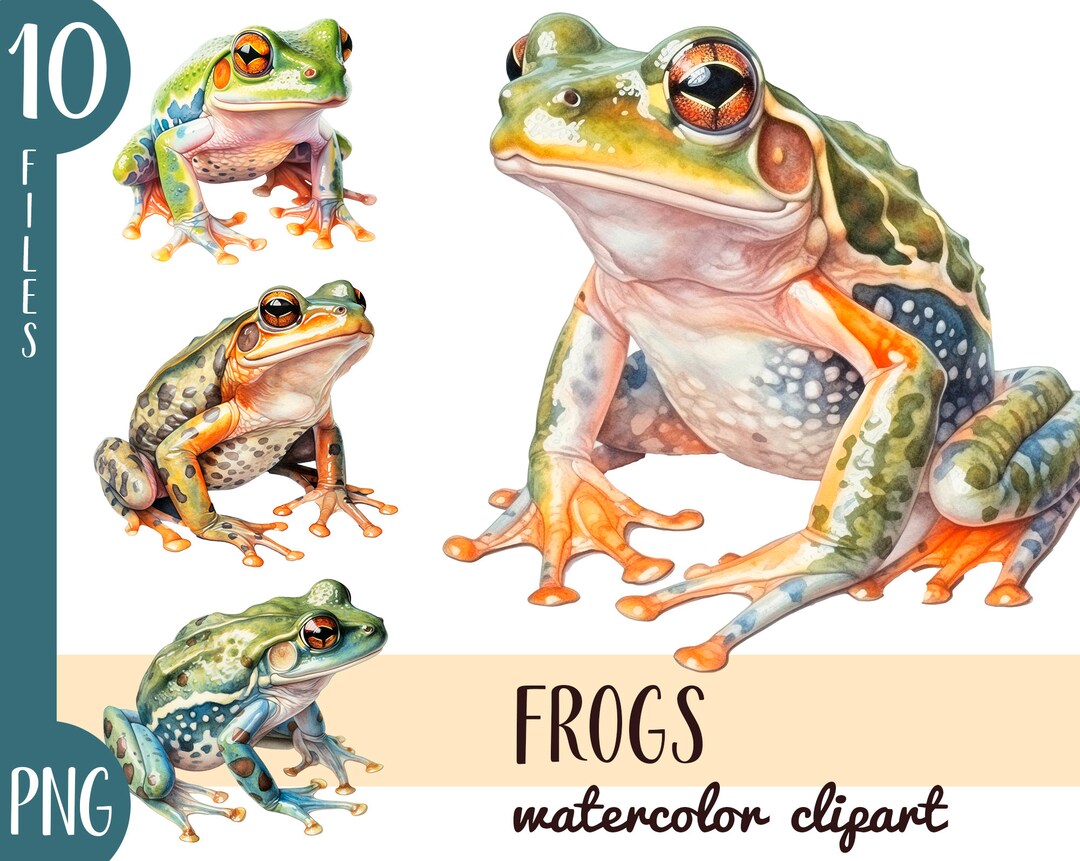 Watercolor Frog Clipart: Tropical Amphibians PNG (digital Download) - Etsy