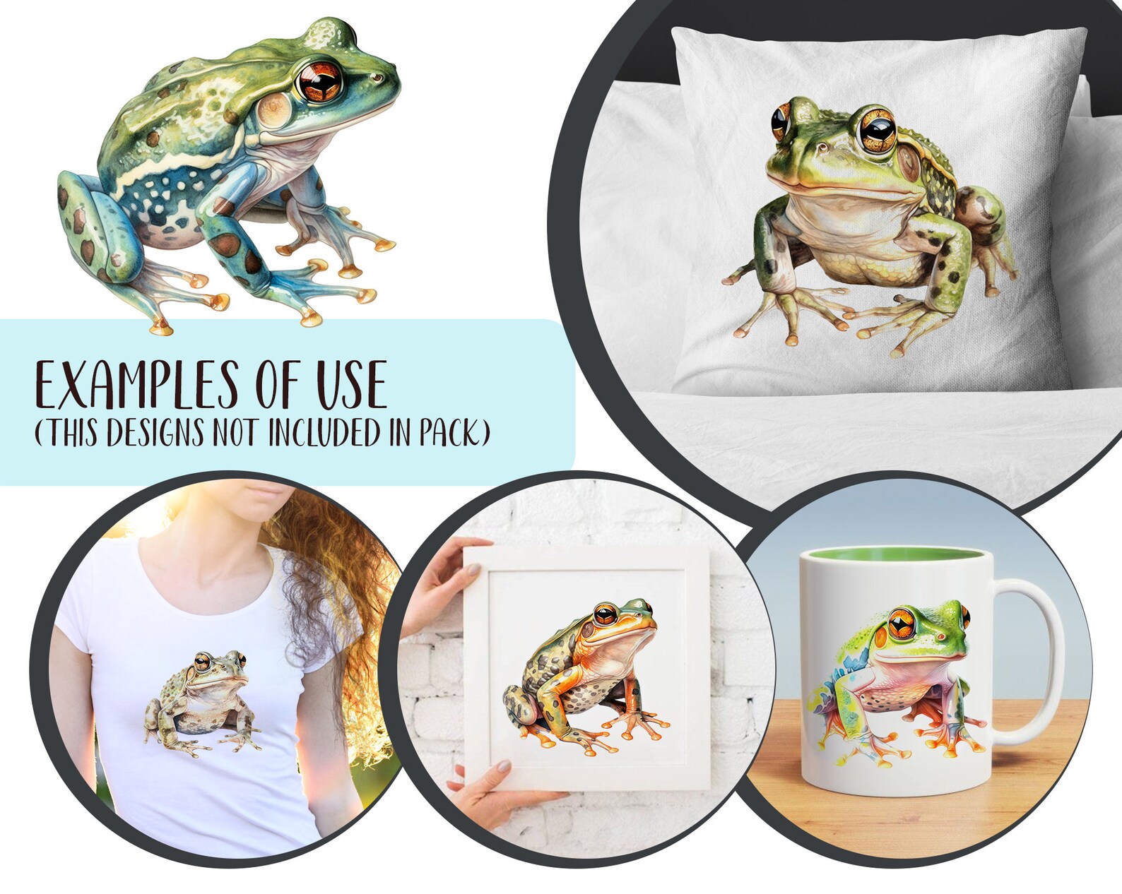 Watercolor Realistic Frogs Clipart Cute Amphibians PNG - Etsy