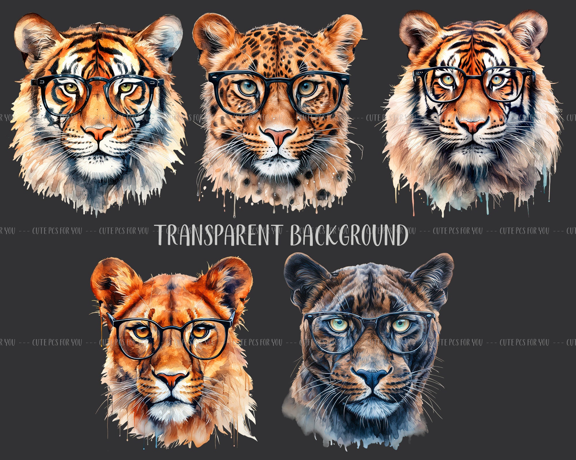 Watercolor Wild Cats in Glasses Clipart Realistic Big Cats - Etsy