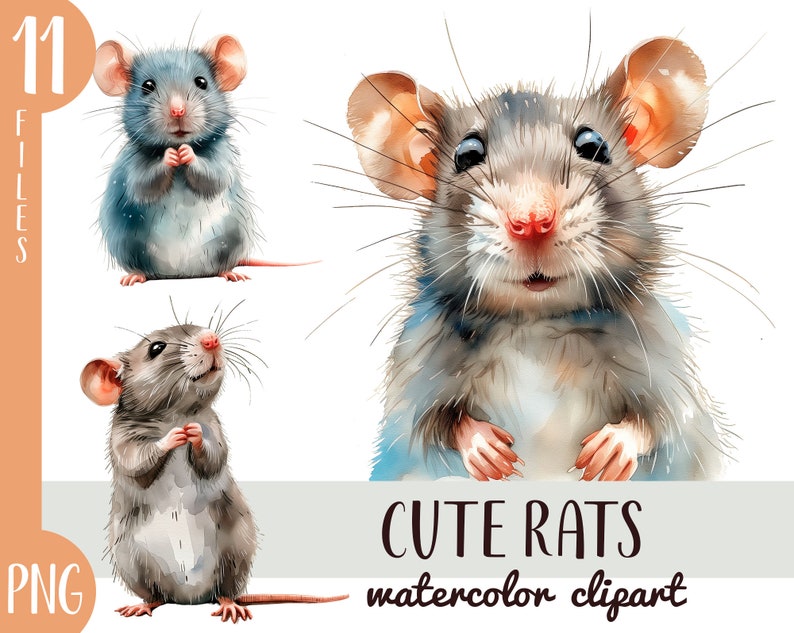 Watercolor Cute Rats Clipart Funny Realistic Mice Digital Illustration ...