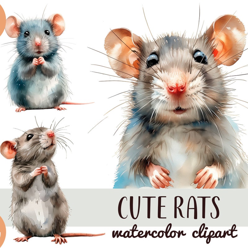 Rat Furry Art - Etsy UK