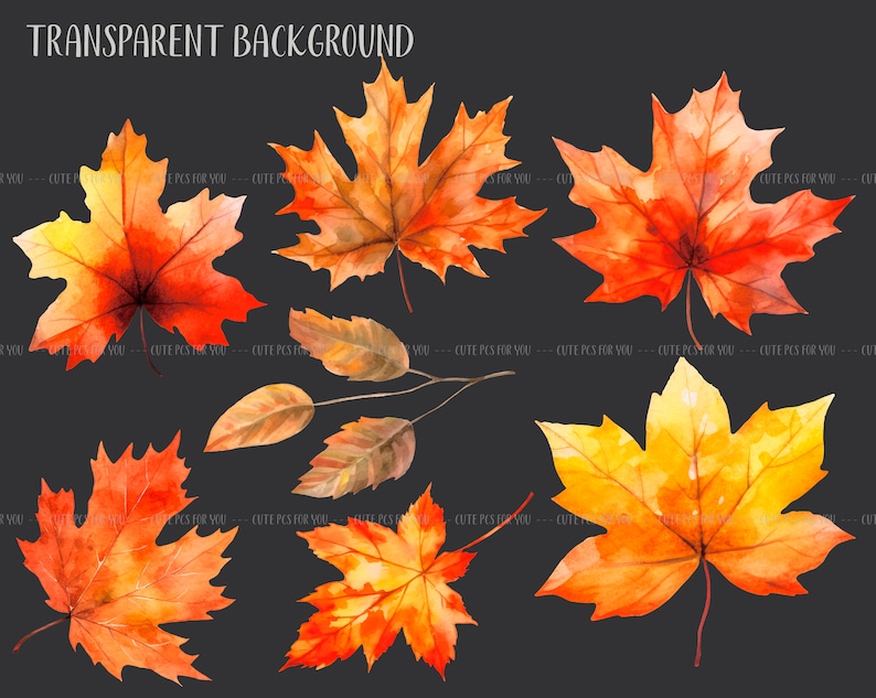 Watercolor Autumn Leaves Clipart: 29 PNG Elements (digital Download) - Etsy