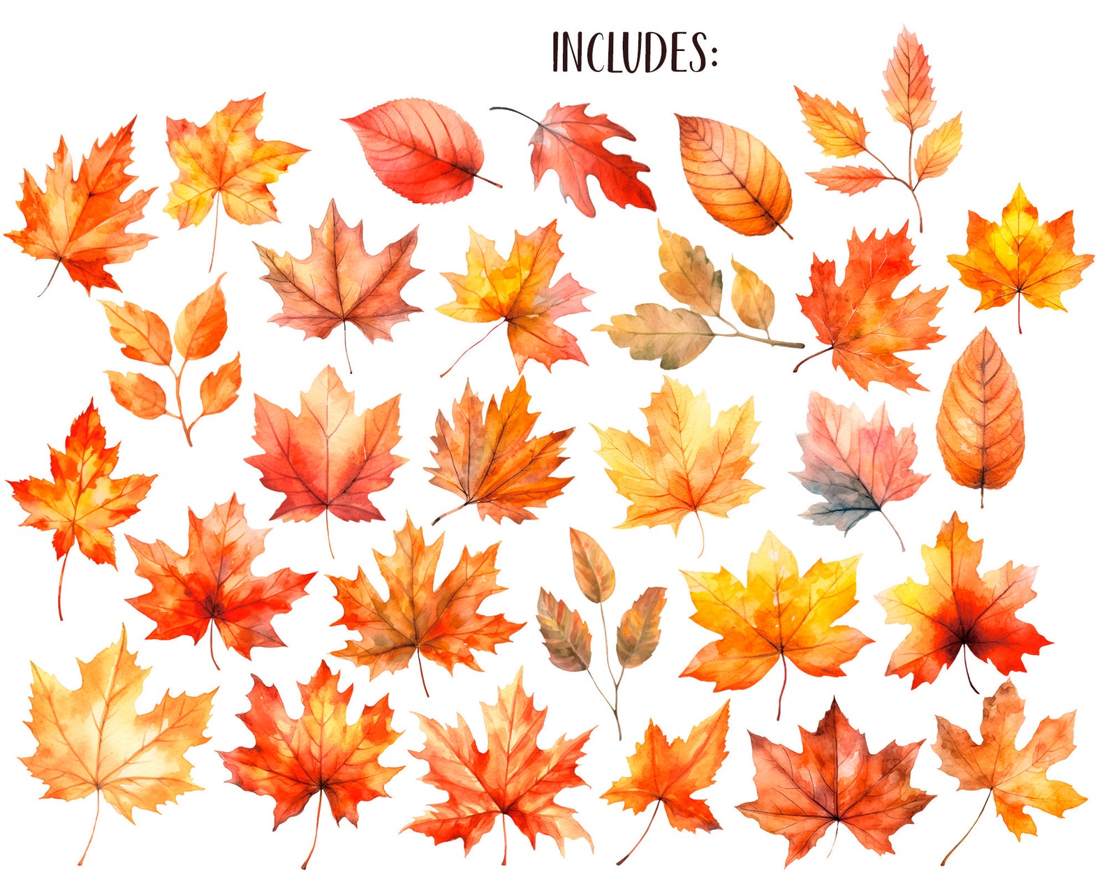 Watercolor Autumn Leaves Clipart Forest Leaf Sublimation - Etsy