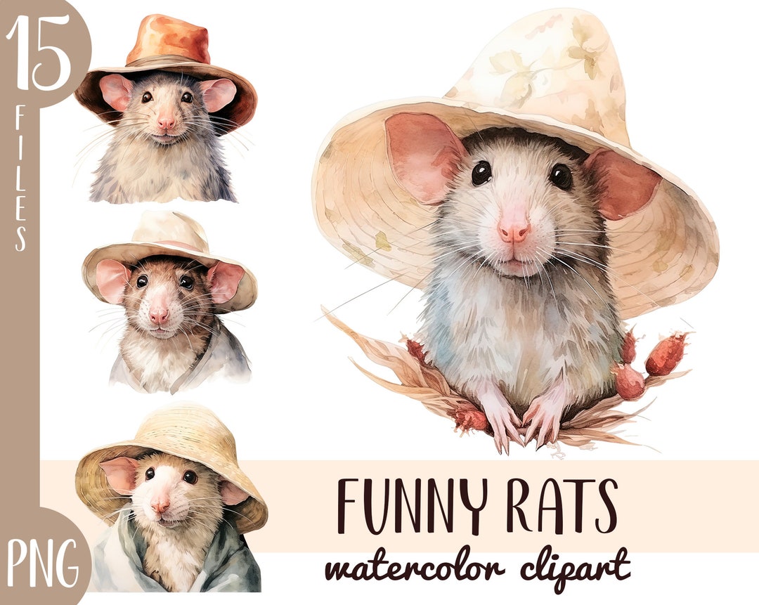Watercolor Funny Rats Clipart - Cute Mice in Funny Hat Digital ...