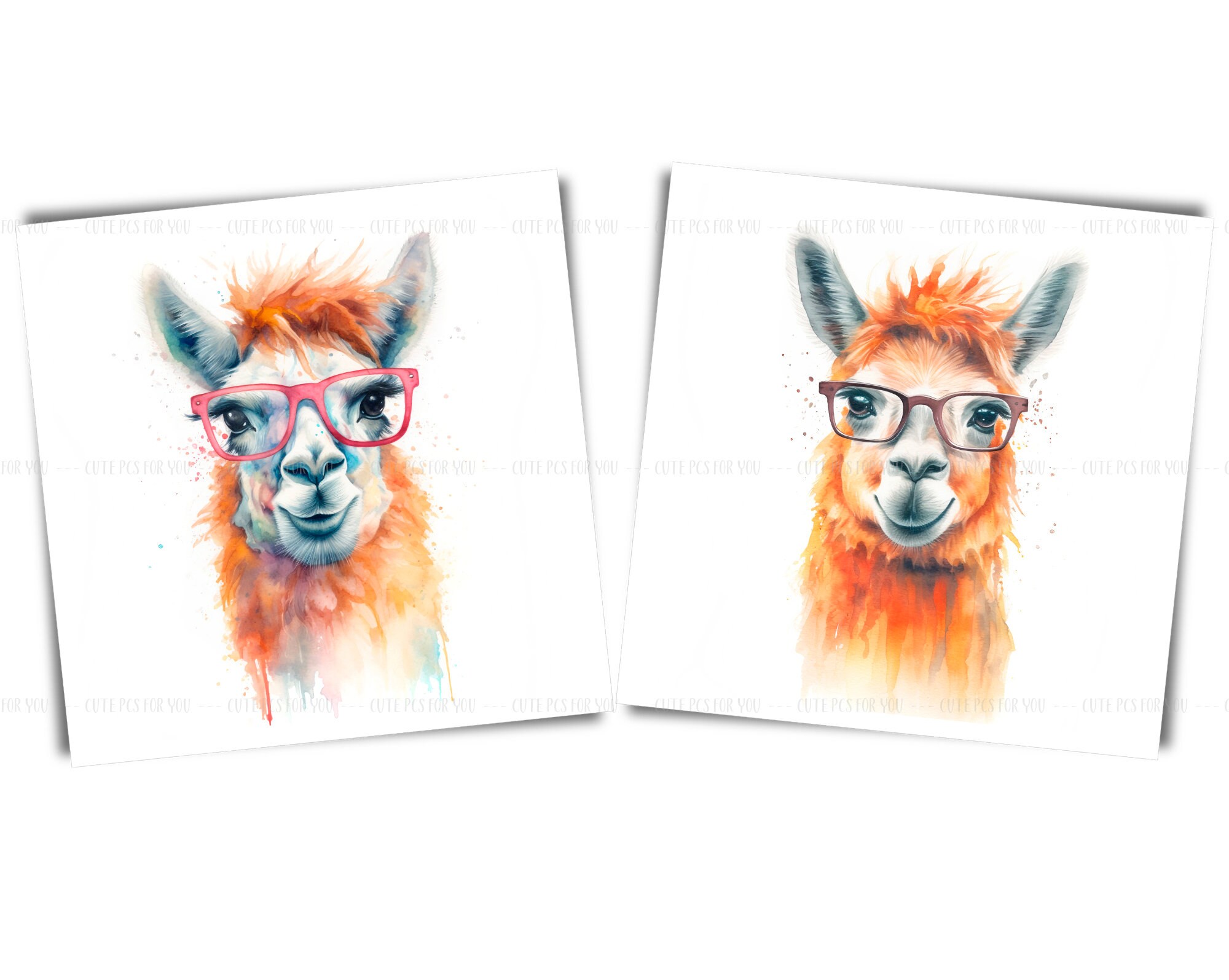 Watercolor Funny Llamas With Glasses Clipart Llama Portrait - Etsy
