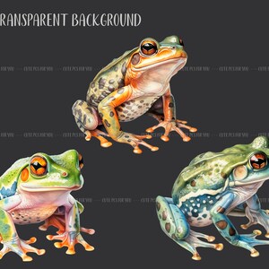 Watercolor Realistic Frogs Clipart - Cute Amphibians PNG - Bright ...