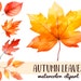 Watercolor Autumn Leaves Clipart: 29 PNG Elements (digital Download) - Etsy