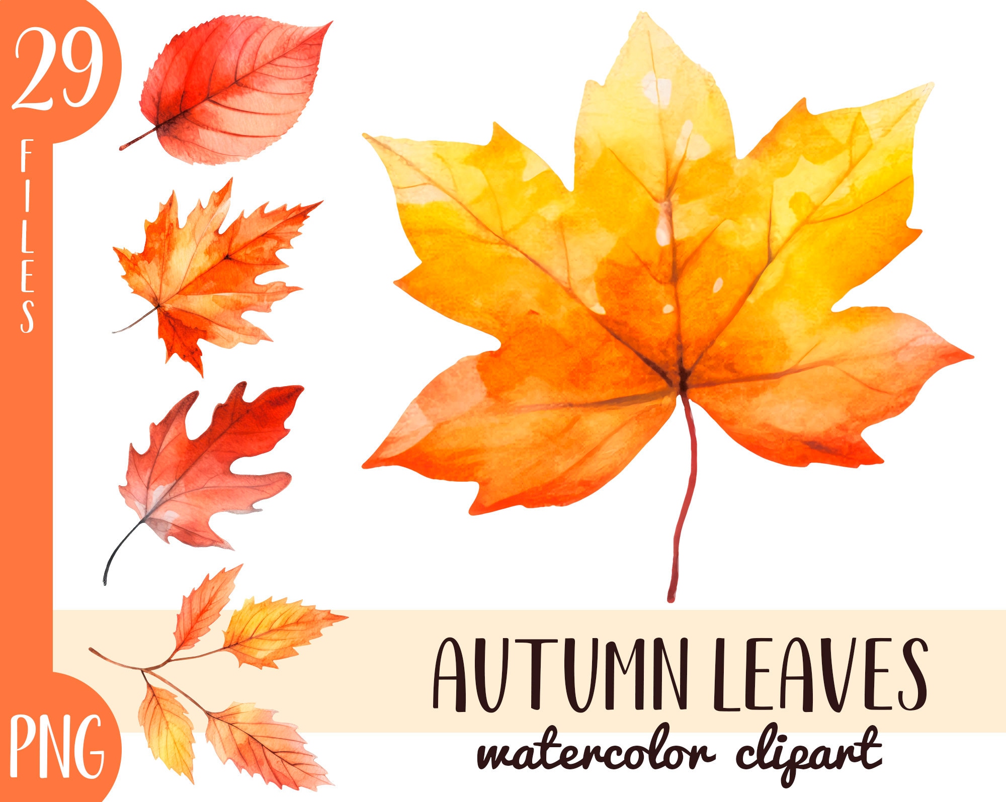 Watercolor Autumn Leaves Clipart: 29 PNG Elements (digital Download) - Etsy