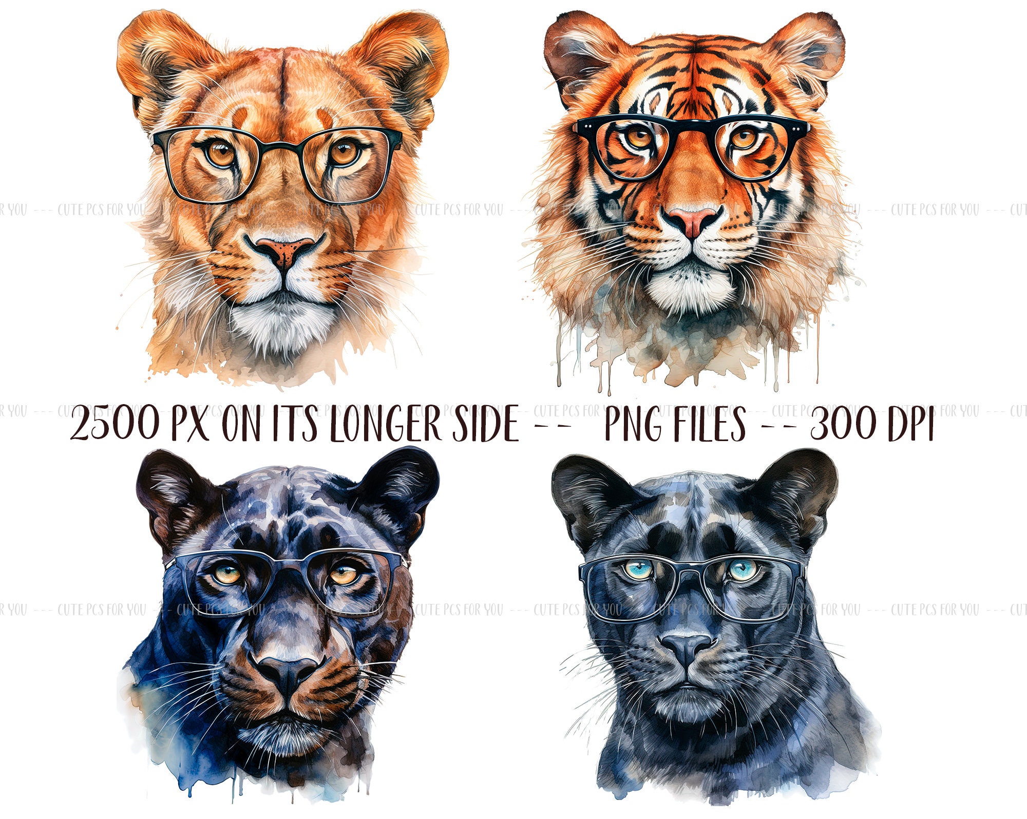 Watercolor Wild Cats in Glasses Clipart Realistic Big Cats - Etsy