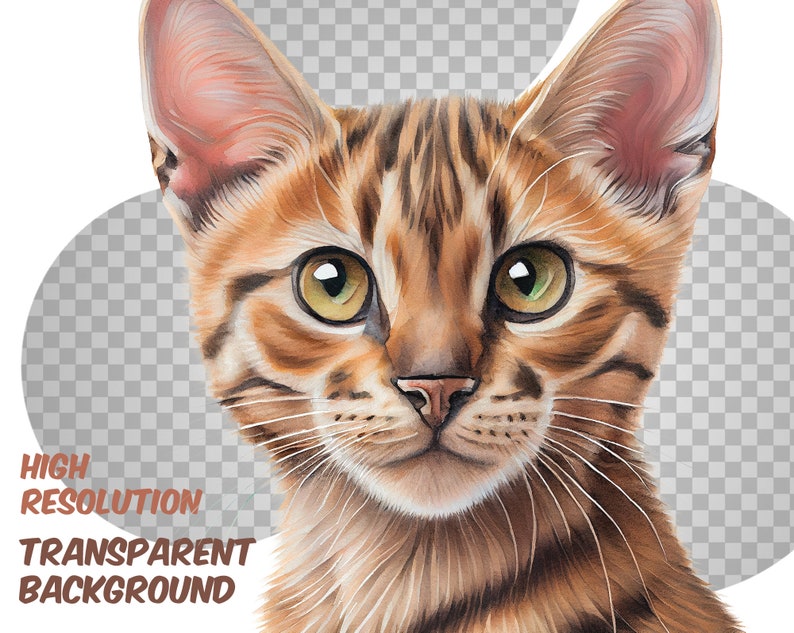 Watercolor Cat Breeds Clipart Realistic Cats Digital - Etsy