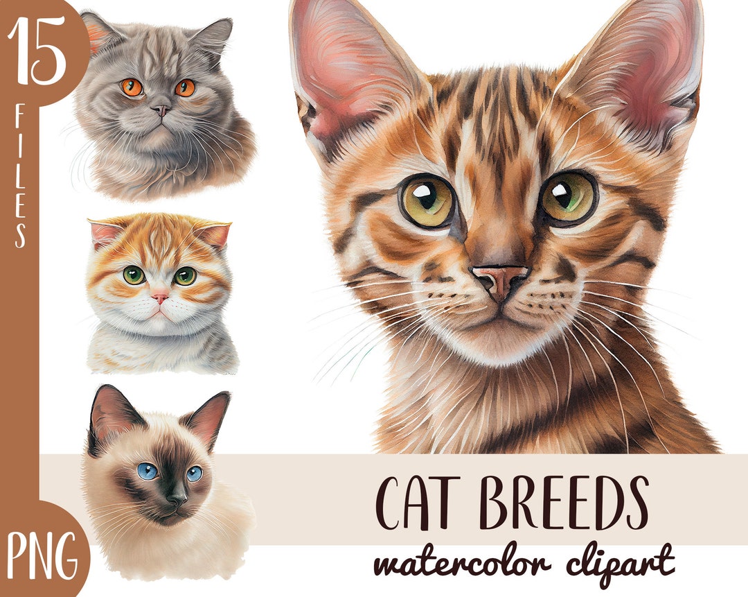 Watercolor Cat Breeds Clipart - Realistic Cats Digital Watercolor - Cat ...