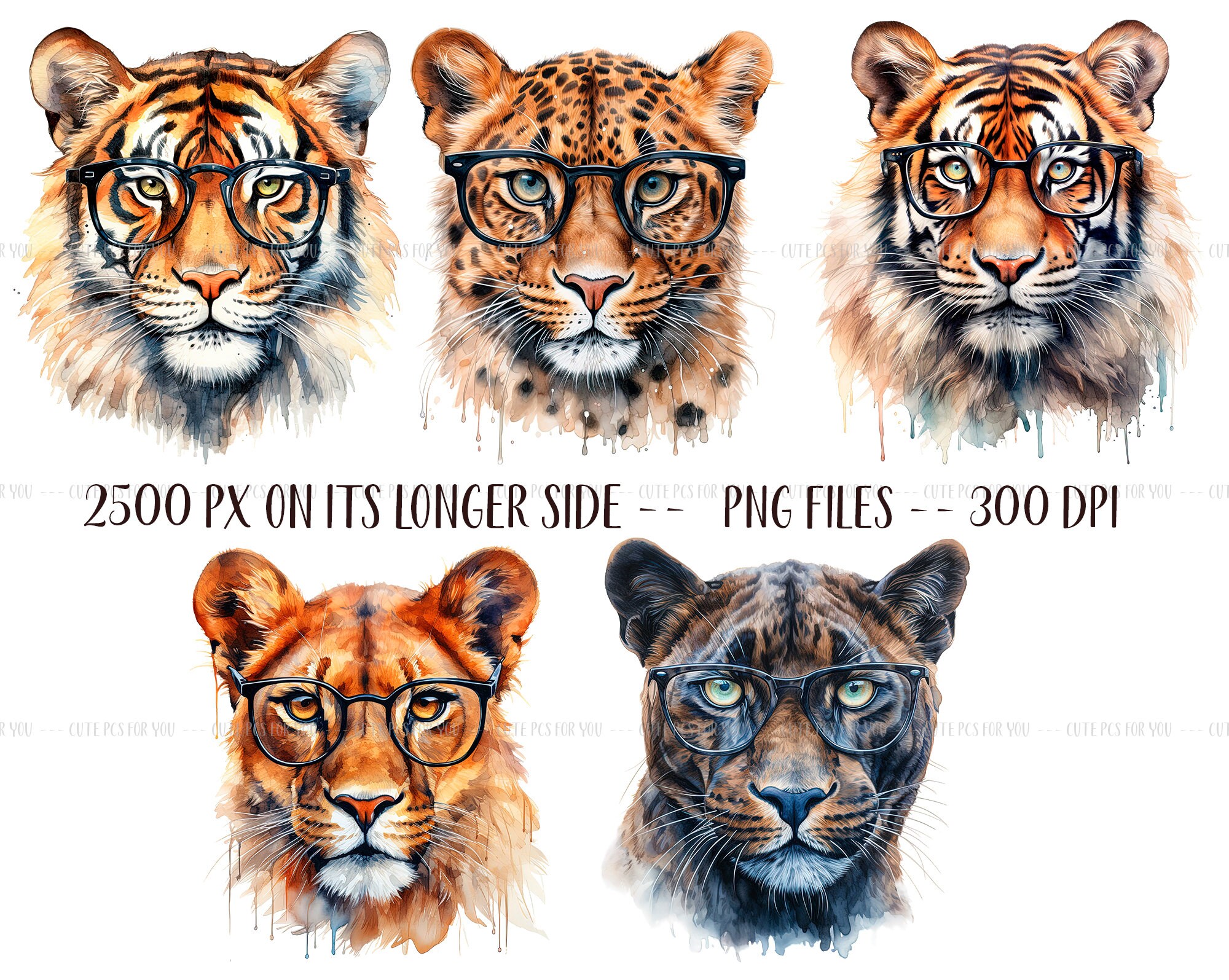 Watercolor Wild Cats in Glasses Clipart Realistic Big Cats - Etsy