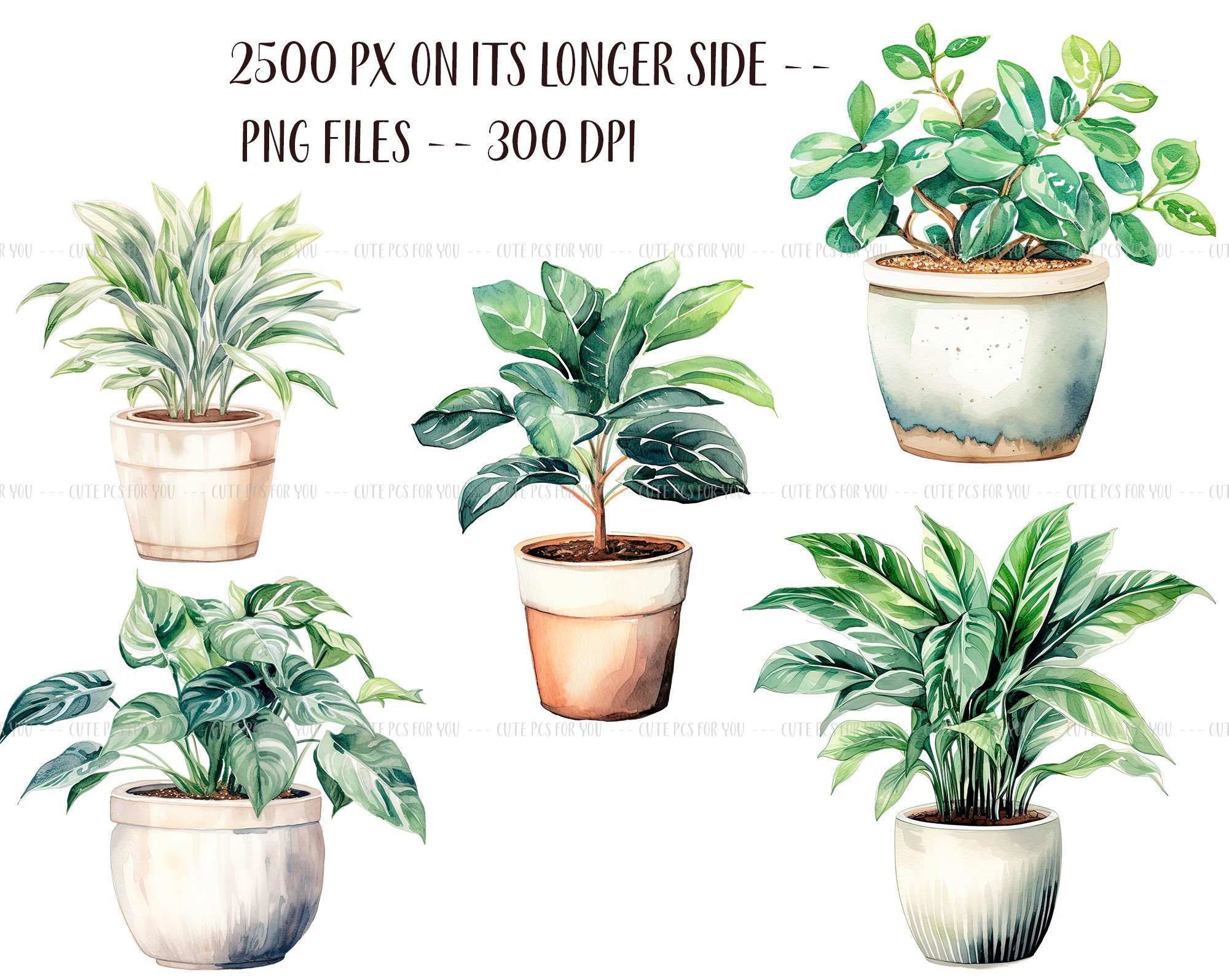 Watercolor House Plants Clipart: Home Floral PNG (digital Download) - Etsy