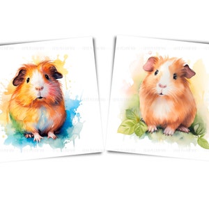 Watercolor Cute Guinea Pigs Clipart Pets Digital Paper Floral Rodents ...