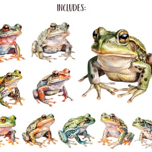 Watercolor Frog Clipart: Tropical Amphibians PNG (digital Download) - Etsy