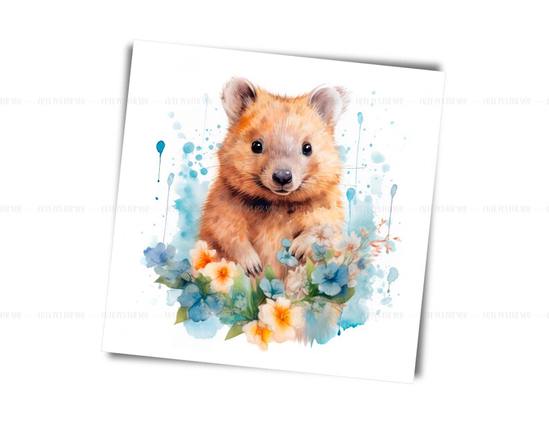 Watercolor Quokka Clipart: Floral Kangaroo Illustrations (JPG Files) - Etsy