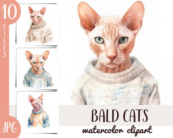 Gratis Kattenclipart Stijlvolle Kat Met Zonnebril En Sjaal, Stijlvolle