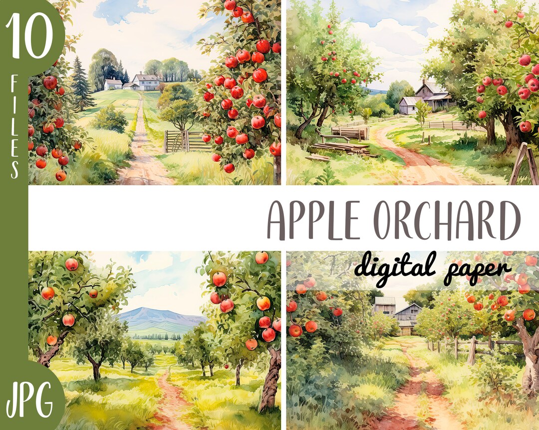 Watercolor Orchard Clipart Garden With Apples Digital Paper Summer ...