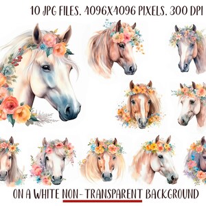 Watercolor Floral Horses Clipart - Pony With Flowers Graphics - Digital ...