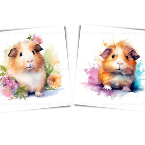 Watercolor Cute Guinea Pigs Clipart - Pets Digital Paper - Floral ...