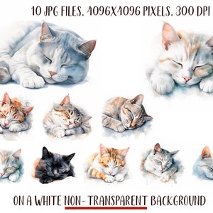 Watercolor Sleeping Cats Clipart - Cute Resting Kittens JPG ...